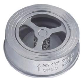 Wafer lift check valve – 我的商店